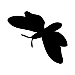 Moth silhouette Royalty Free Vector Image - VectorStock