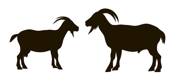 Goat rear view silhouette Royalty Free Vector Image
