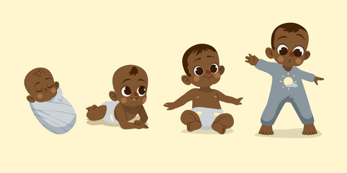 Baby Development Stages Vector Images (over 1,000)