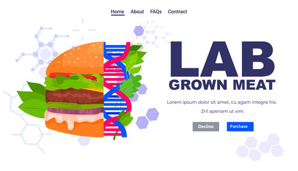 Cultured beef burger made from animal cells Vector Image