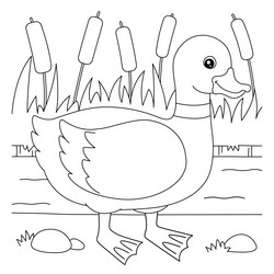 Duck hunting isolated coloring page for kids Vector Image
