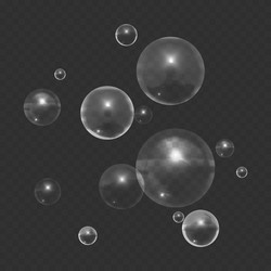Realistic water bubble isolated Royalty Free Vector Image
