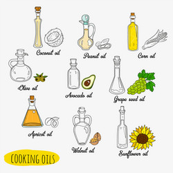 9 isolated doodle cooking oils Royalty Free Vector Image