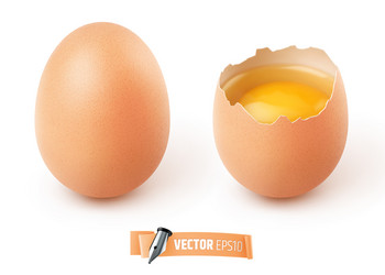 Realistic eggs package Royalty Free Vector Image
