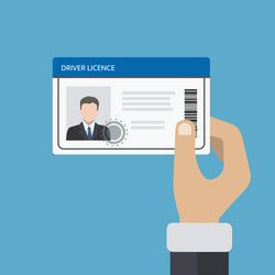 Driver license card in hand id number and photo Vector Image