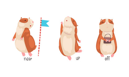 Cute hamster demonstrating english language Vector Image