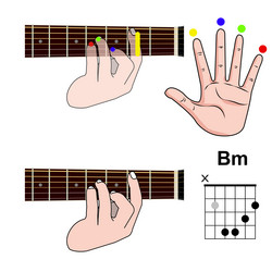 Guitar chord basic and hand position for ch Vector Image