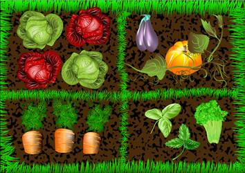 Vegetable Garden Vector Images (over 99,000)