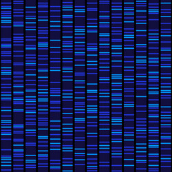 Color dna sequence results on black seamless Vector Image