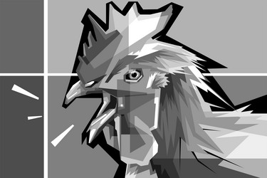 Pollo Vector Images (71)