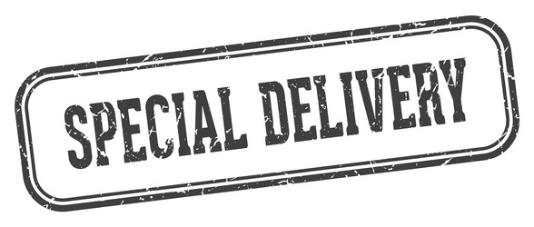 Special buy stamp rectangular Royalty Free Vector Image