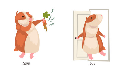 Cute hamster demonstrating english language Vector Image