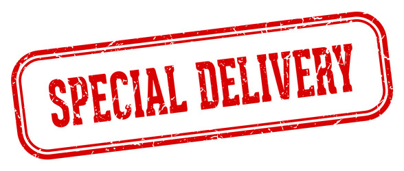 Special stamp special rectangular stamp on white Vector Image