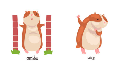Cute hamster demonstrating english language Vector Image