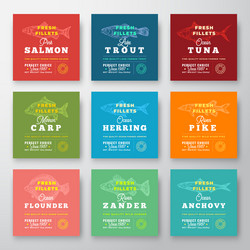 Premium quality tilapia packaging label Royalty Free Vector