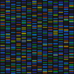 Human genome map dna test sequence barcoding big Vector Image