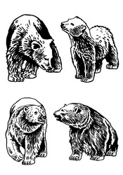 Bear Side View Vector Images (over 460)