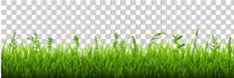 Border Grass Gras Vector Images (92)