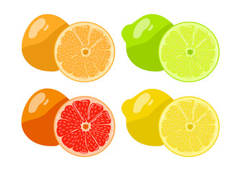 Citrus Vector Images (over 88,000)