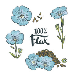 Flax Seed Vector Images (over 1,000)