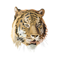 Front Facing Tiger Vector Images (over 420)