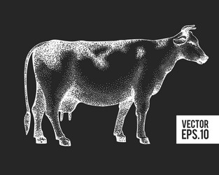 Graphical cow silhouette hand drawn Royalty Free Vector