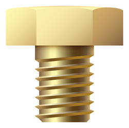 Metal hex bolt side and front view Royalty Free Vector Image