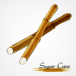 Hand drawn sugar cane Royalty Free Vector Image