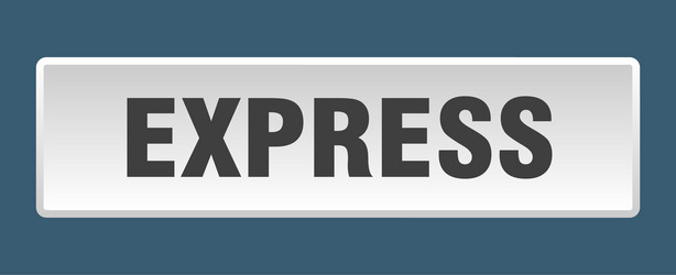 Express button square blue push Royalty Free Vector Image