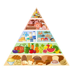 Food nutrition groups pyramid Royalty Free Vector Image