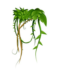 Happy cartoon bat hanging on tree Royalty Free Vector Image