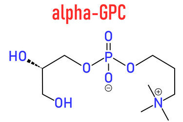 Alpha-gpc molecule skeletal formula Royalty Free Vector
