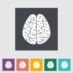 Brain anatomy color scheme Royalty Free Vector Image