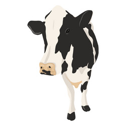 Cow Front View Vector Images (over 720)