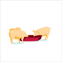 Farmer Feeding Pigs Feed Vector Images (over 120)