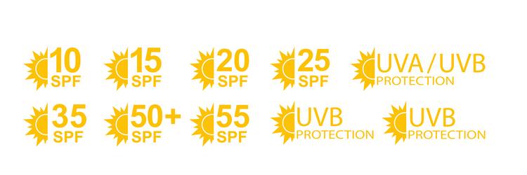 Spf 50 icon sun protection for skin uva uvb Vector Image