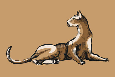 Picture with traditional ink drawing Royalty Free Vector