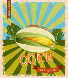 Sweet corn poster Royalty Free Vector Image - VectorStock