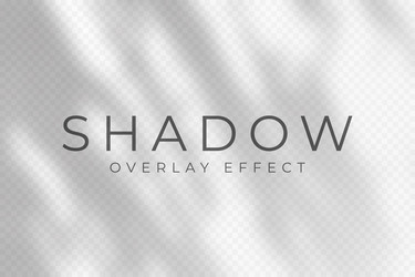 Shadow overlay effect and light Royalty Free Vector Image