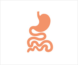 Simple gut and small intestine gastrointestinal Vector Image