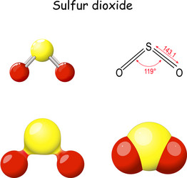 So sulfur monoxide molecule Royalty Free Vector Image
