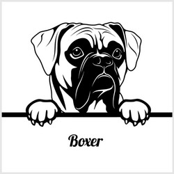 Boxer Dog Face Outline