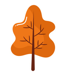 Fall leaf design Royalty Free Vector Image - VectorStock