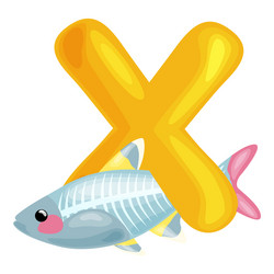 Letter x is for x-ray fish cartoon alphabet Vector Image