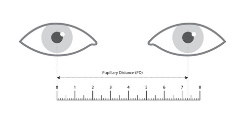 Horizontal lens decentration pupillary distance Vector Image