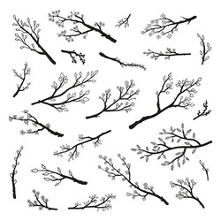Collection of tree twigs and branches Royalty Free Vector