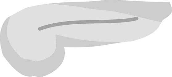 Pancreas Royalty Free Vector Image - VectorStock