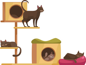 Play cat tree cartoon Royalty Free Vector Image