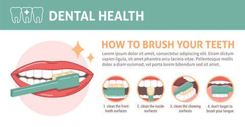 Dental hygiene infographic oral healthcare guide Vector Image