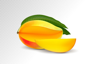 Realistic ripe mango fruit with leaf Royalty Free Vector